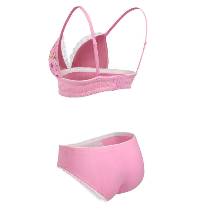 Usagi Moon Fancy Bralette Set - LittleForBig Cute & Sexy Products